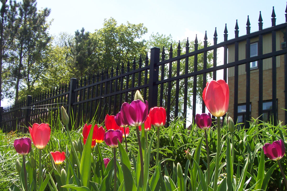 Quality CourtYard Aluminum Fence | DSI