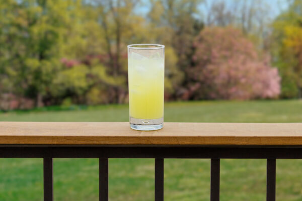 Westbury Aluminum Deck Drink Rail | Digger Specialties, Inc.